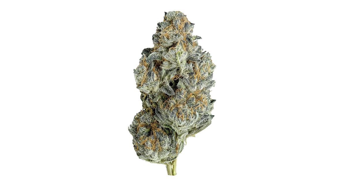Brrberry Cannabis Strain Information - GrowDiaries