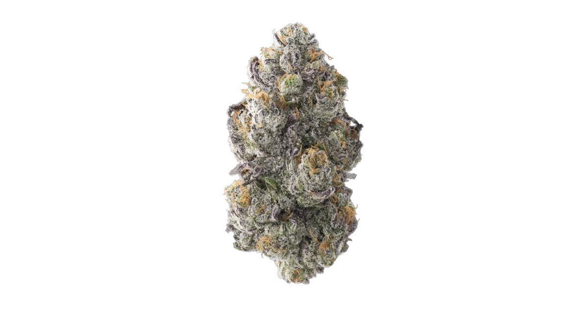 Shady Certz Cannabis Strain Information - GrowDiaries