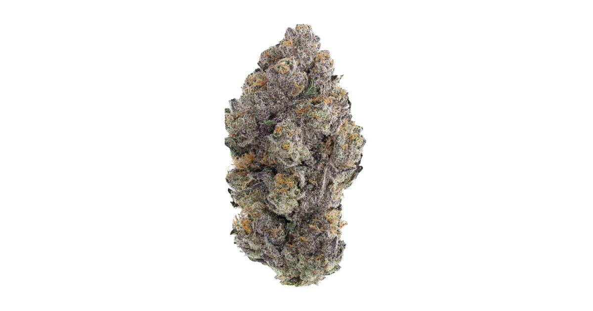 Versace Sour Cannabis Strain Information - GrowDiaries