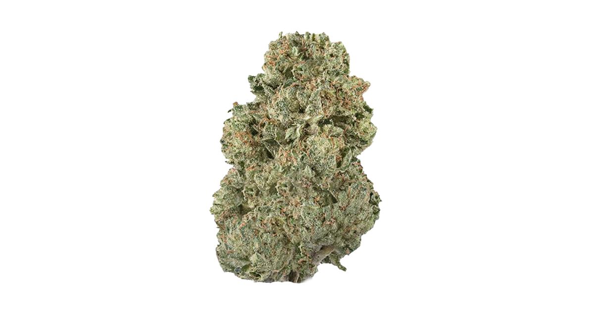 Blue Magic by Wizard Trees Cannabis Strain Information - GrowDiaries