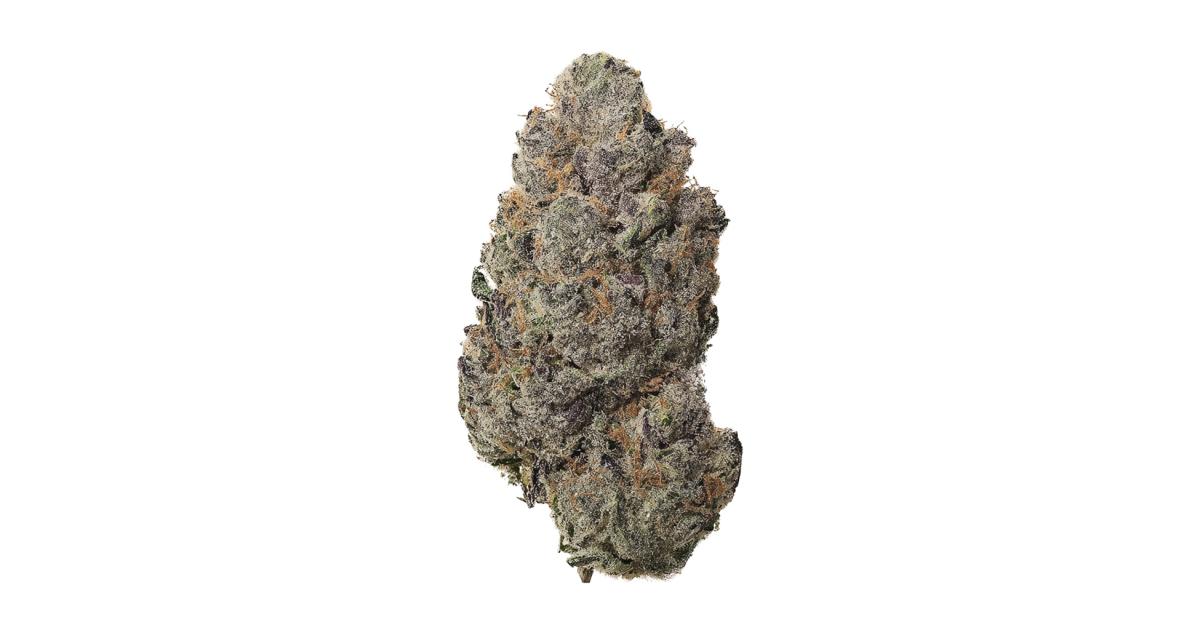 Blue Lotus S1 Cannabis Strain Information - GrowDiaries