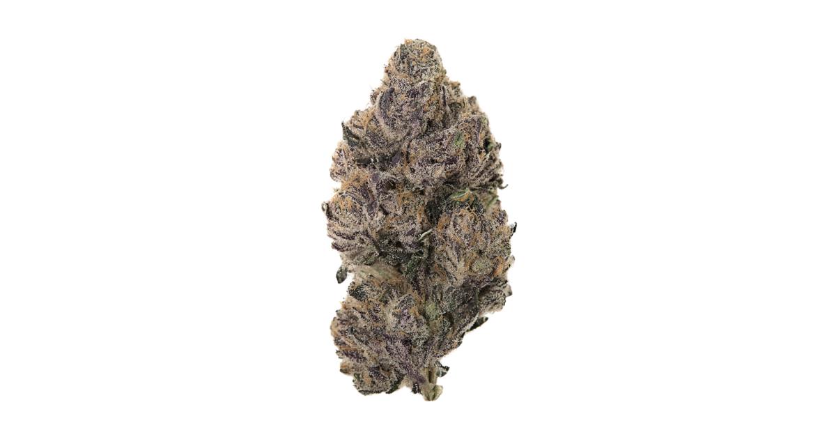 Blue Dashí Cannabis Strain Information - GrowDiaries