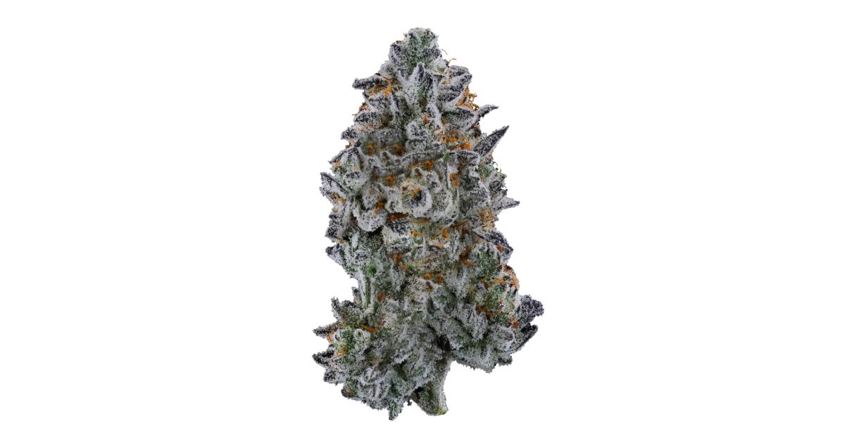 French Lotus Cannabis Strain Information - GrowDiaries