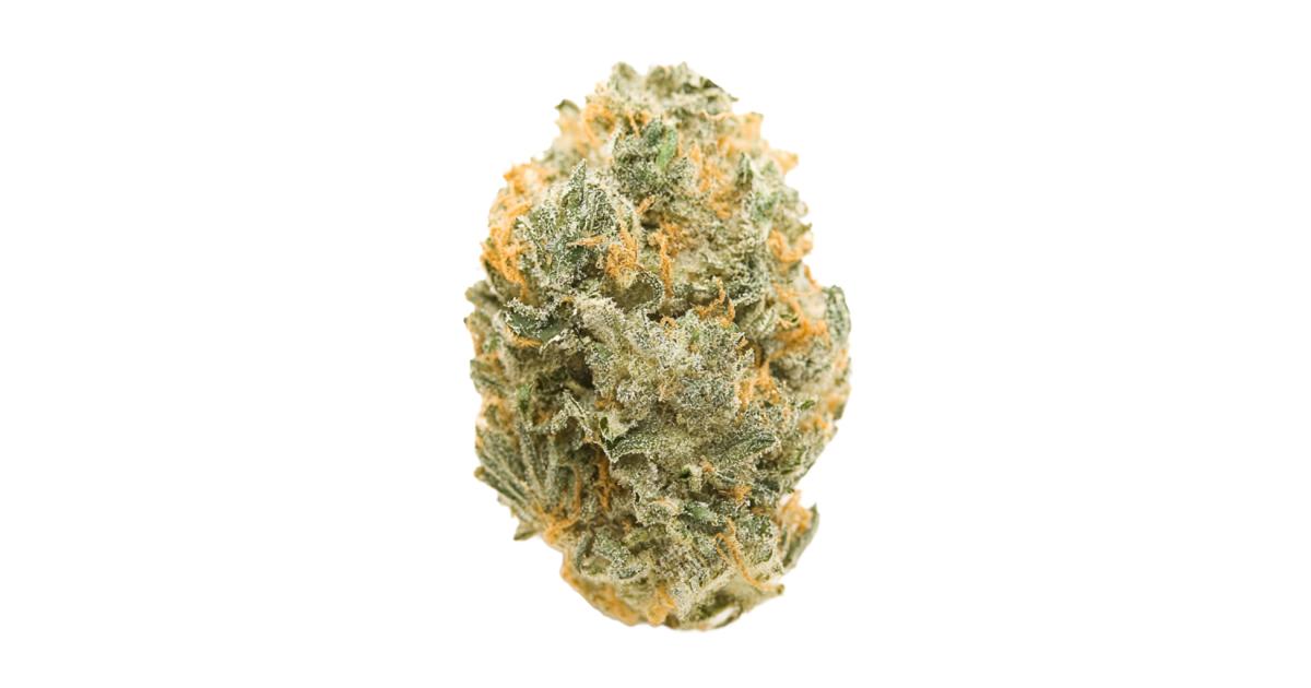 Main Squeeze Cannabis Strain Information - GrowDiaries