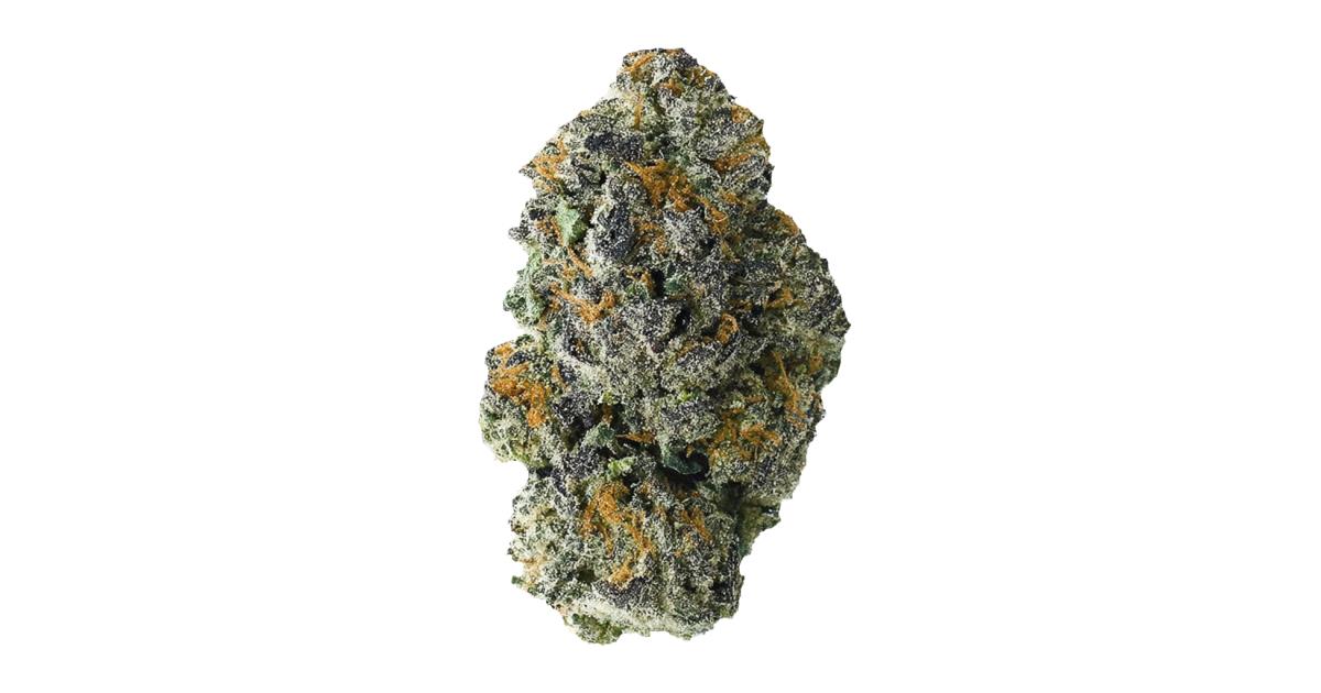 Sleepy Gary Cannabis Strain Information - GrowDiaries