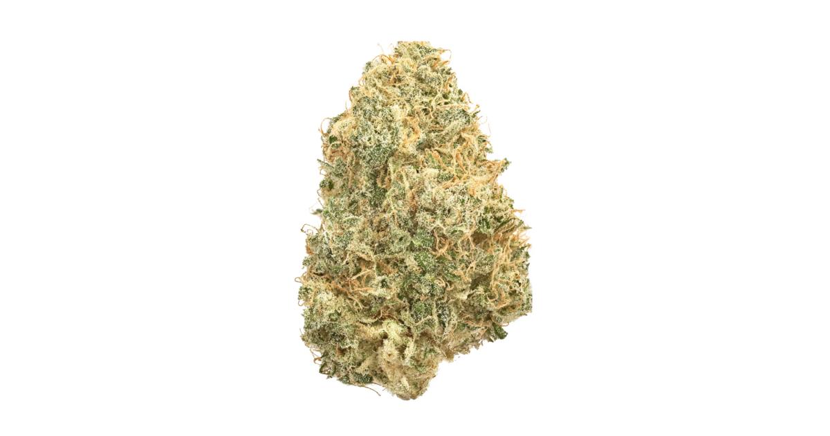 Suga Baby Cannabis Strain Information - GrowDiaries