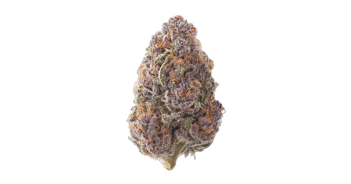 Pop Rockets Cannabis Strain Diaries - GrowDiaries