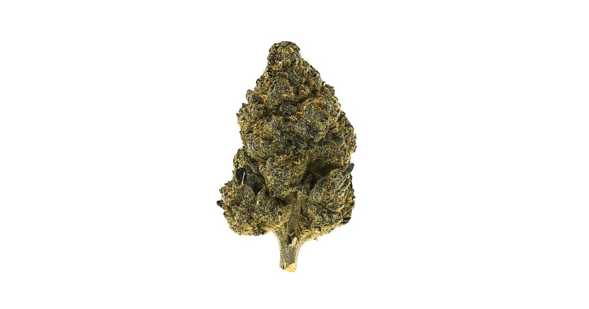 Super Jack Cannabis Strain Information - GrowDiaries
