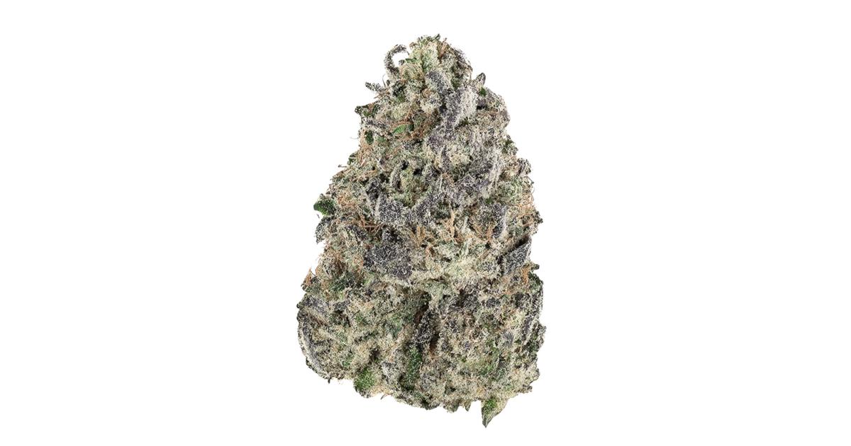California Cream Cannabis Strain Information - GrowDiaries