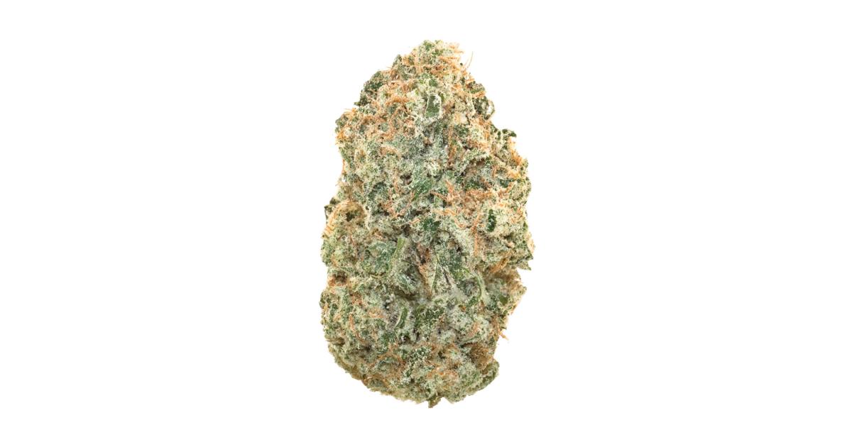 Lemon Sundae Cannabis Strain Information - GrowDiaries