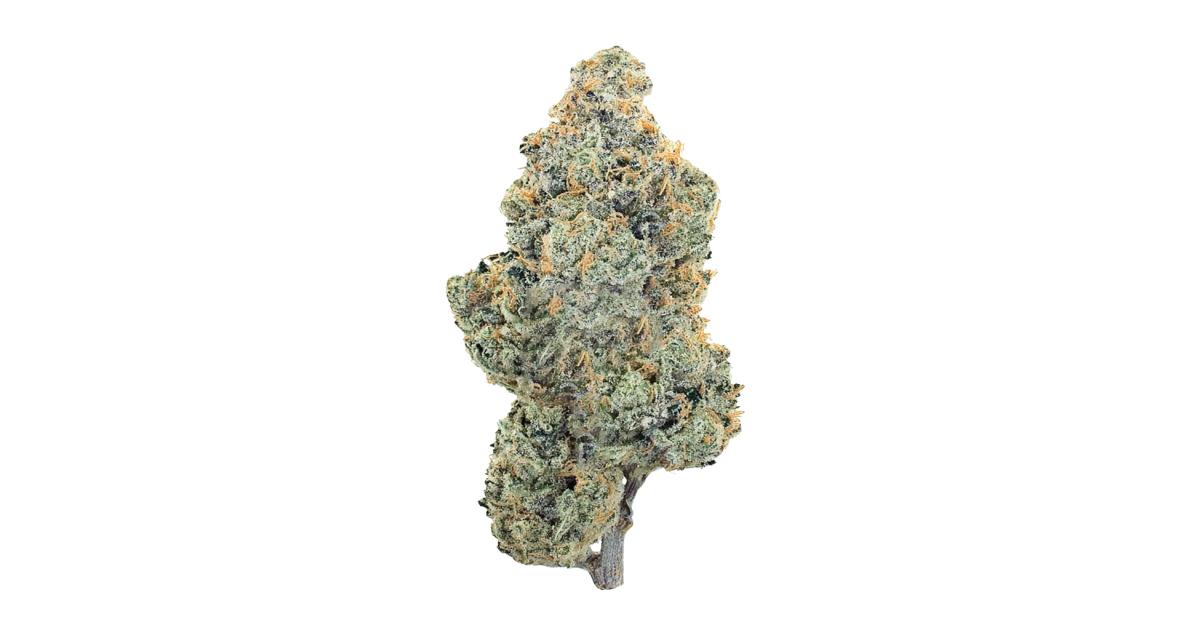 Pacific Breeze Cannabis Strain Products - GrowDiaries