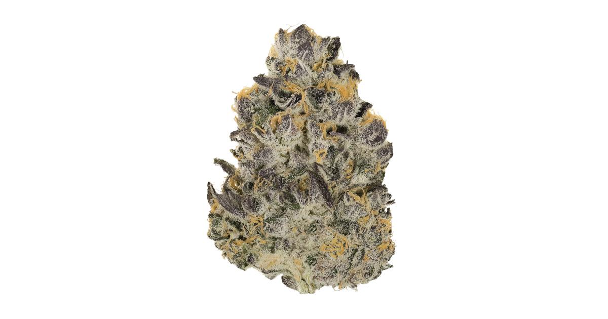 Poison Boysen Cannabis Strain Information - GrowDiaries