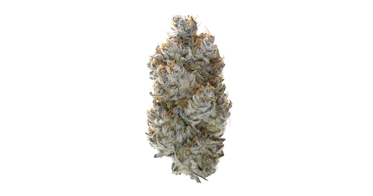 Secret Meetings Cannabis Strain Information - GrowDiaries