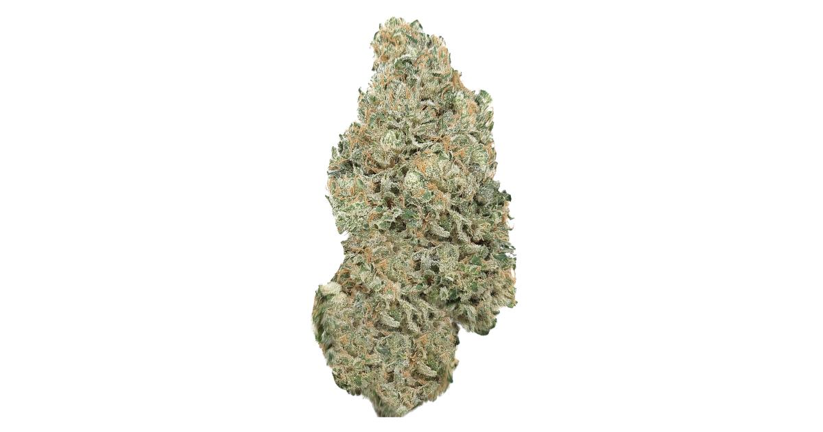 Sugar Bowl Cannabis Strain Information - GrowDiaries