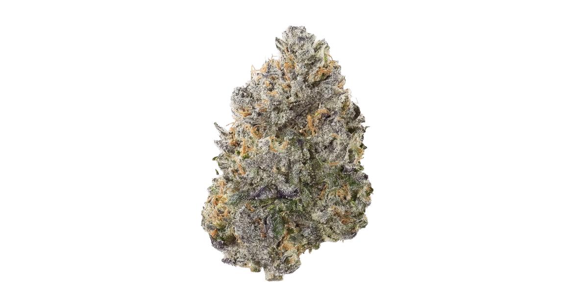 Sunset Centennial Cannabis Strain Information - GrowDiaries