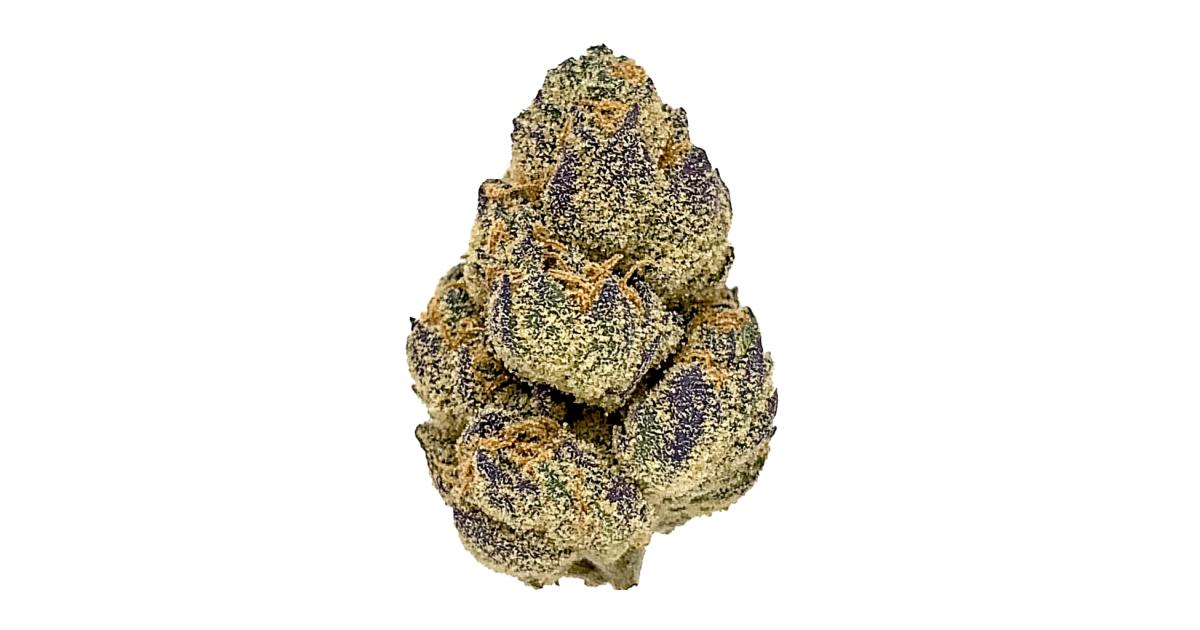 Sharklato Cannabis Strain Information - GrowDiaries