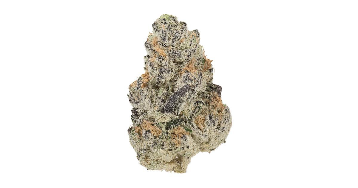 Jelly Breath S1 Cannabis Strain Information - GrowDiaries