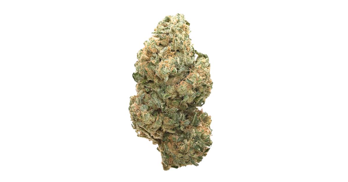 95 Banger Cannabis Strain Information - GrowDiaries