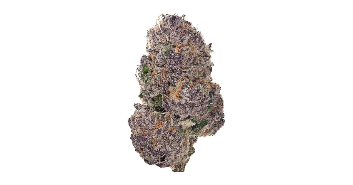 Pink Pie Cannabis Strain Information - GrowDiaries