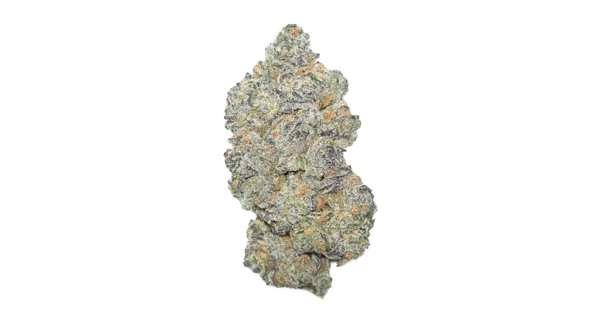Pink Fritter Cannabis Strain Information - GrowDiaries