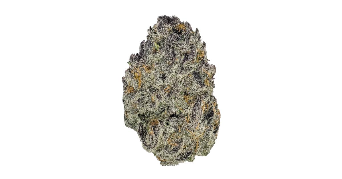 Biker 41 Cannabis Strain Information - GrowDiaries
