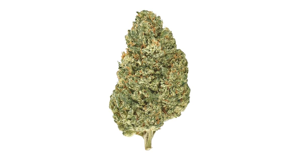 LeMello Cannabis Strain Information - GrowDiaries