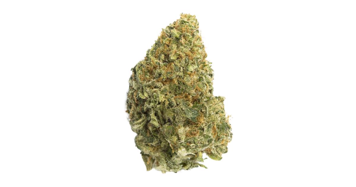 Georgia Tang Cannabis Strain Information - GrowDiaries