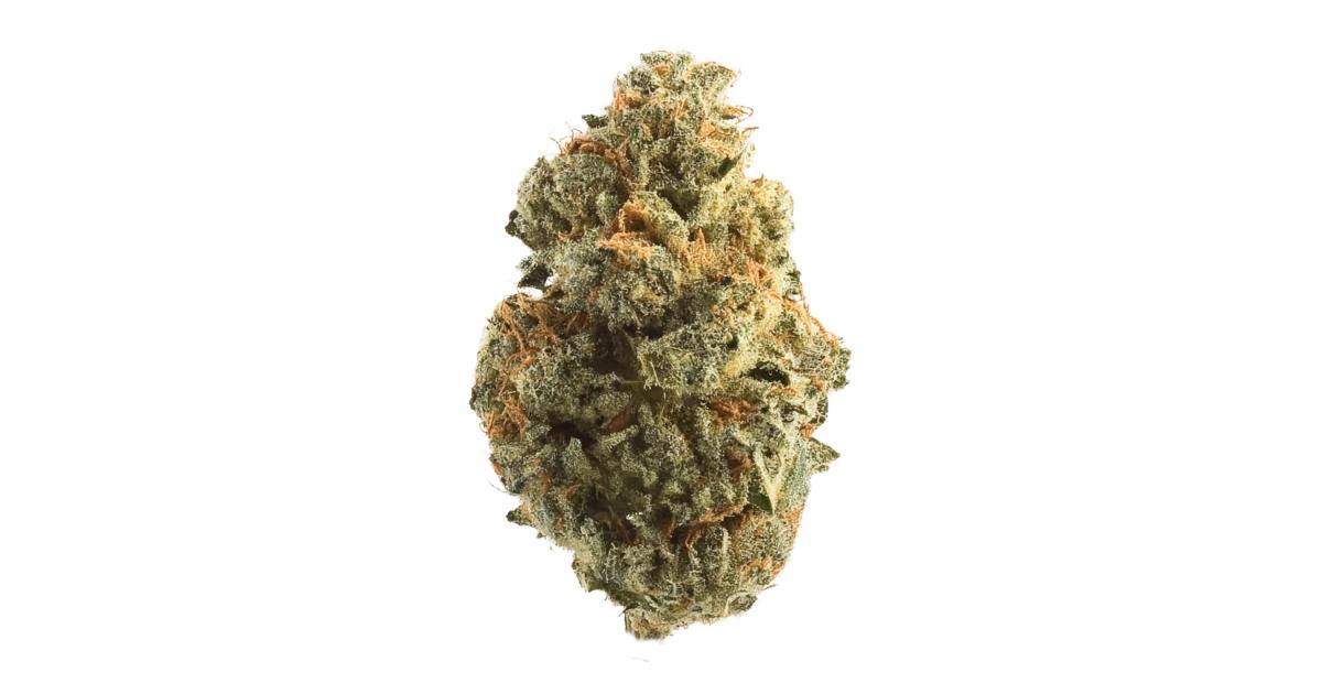 Sweet Biker Cannabis Strain Information - GrowDiaries