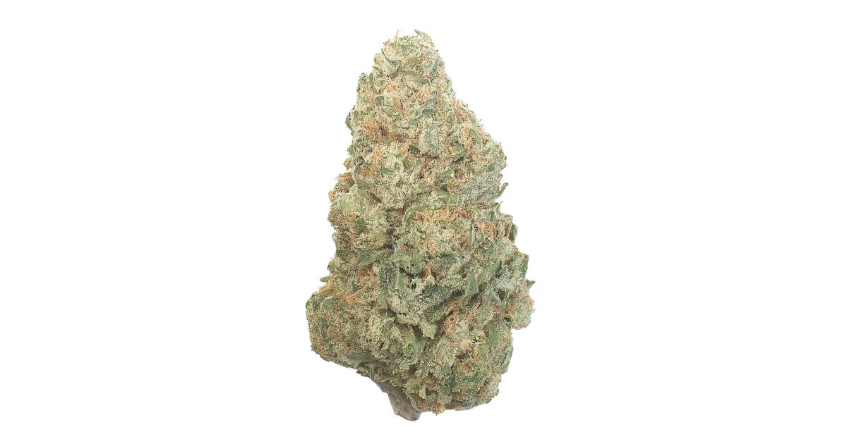 French Alps Cannabis Strain Information - GrowDiaries