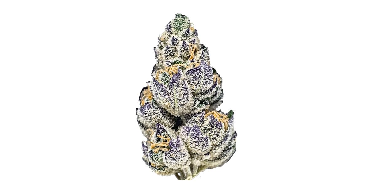 Frostbite Cannabis Strain Information - GrowDiaries