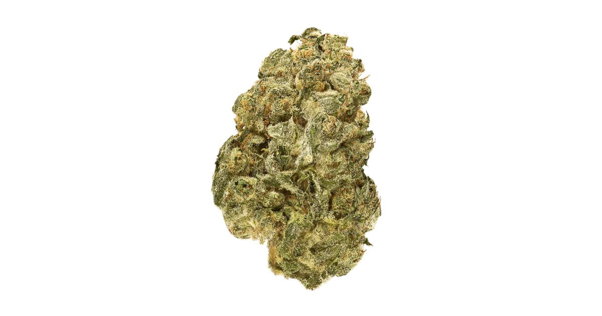 Ripper Haze Cannabis Strain Information - GrowDiaries