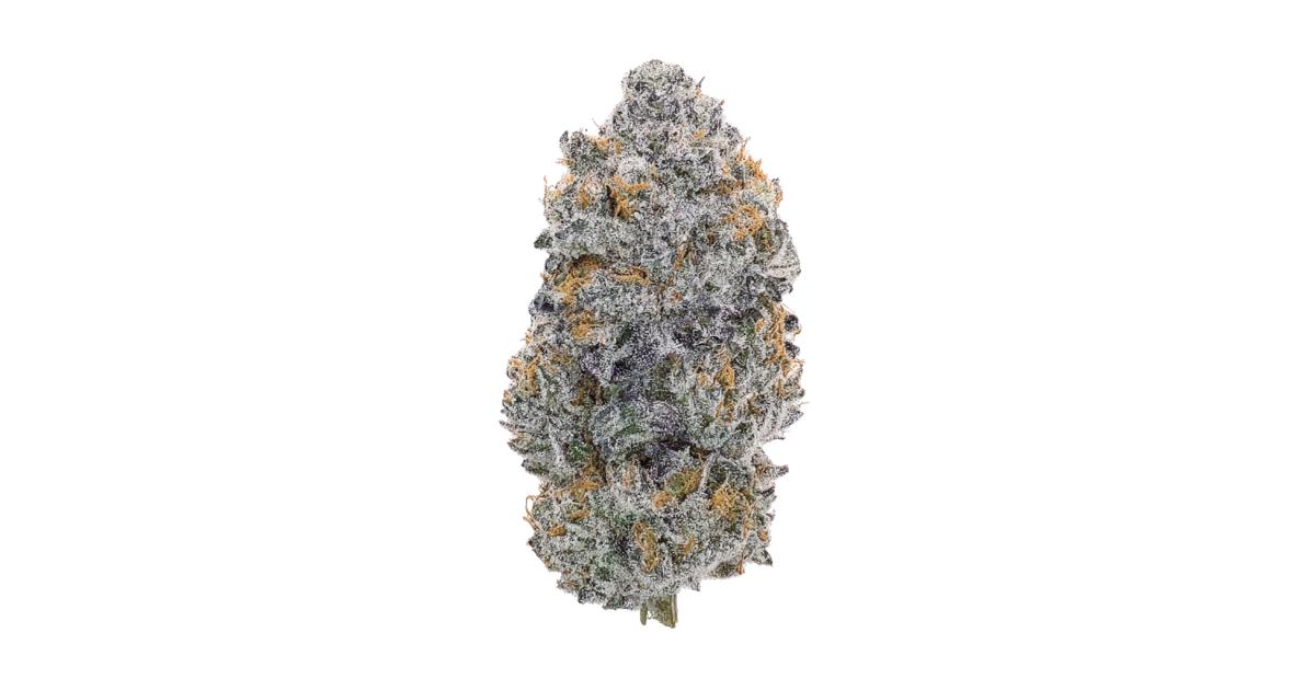 Primetime Cannabis Strain Information - GrowDiaries