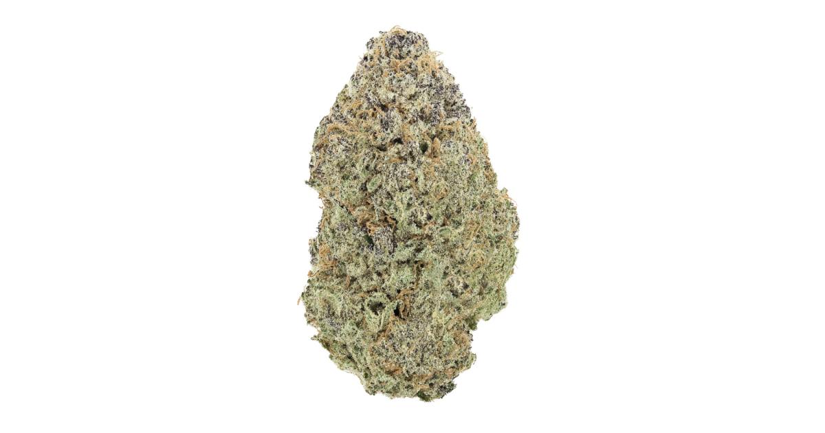 Punch Pie Cannabis Strain Information - GrowDiaries