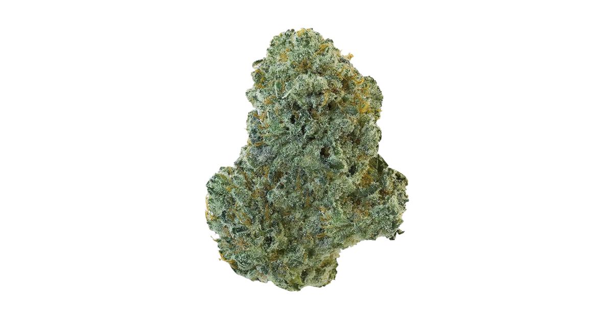 Slightly Stoopid Fruits Cannabis Strain Diaries - GrowDiaries