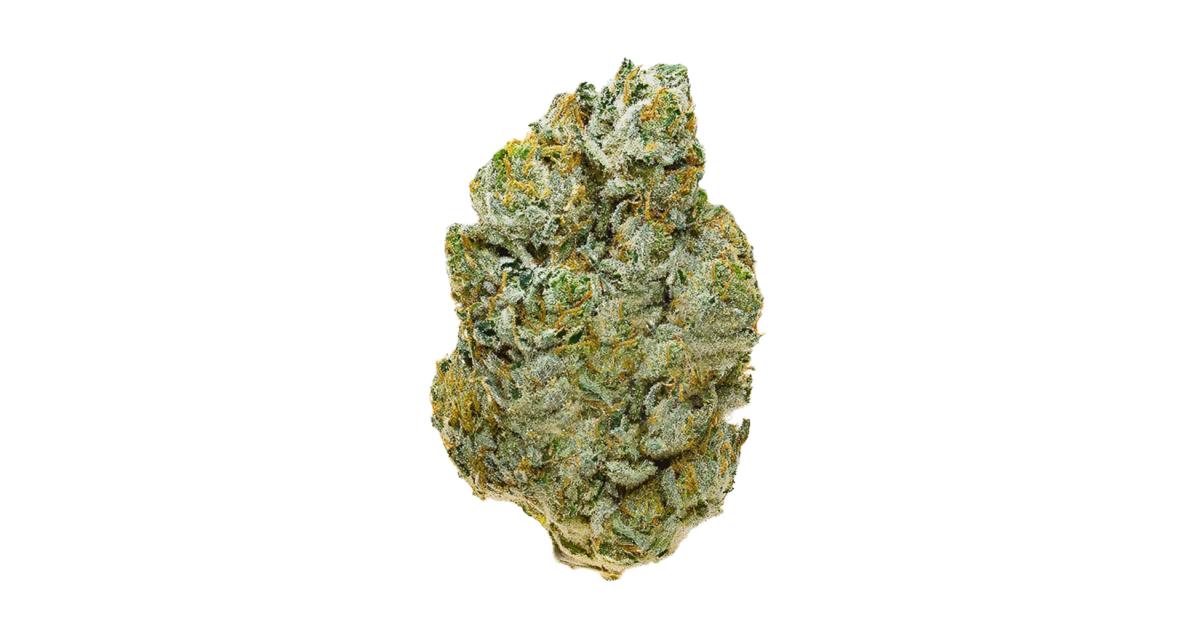 Sherbet Queen Cannabis Strain Information - GrowDiaries