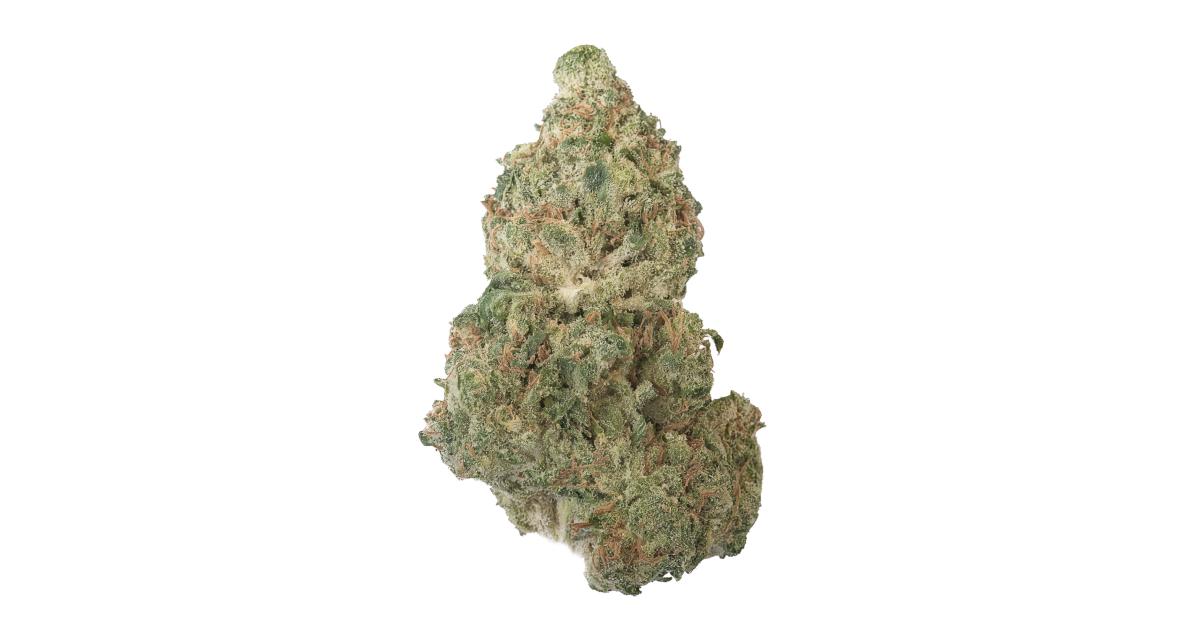 Grape Gasby Cannabis Strain Information - GrowDiaries