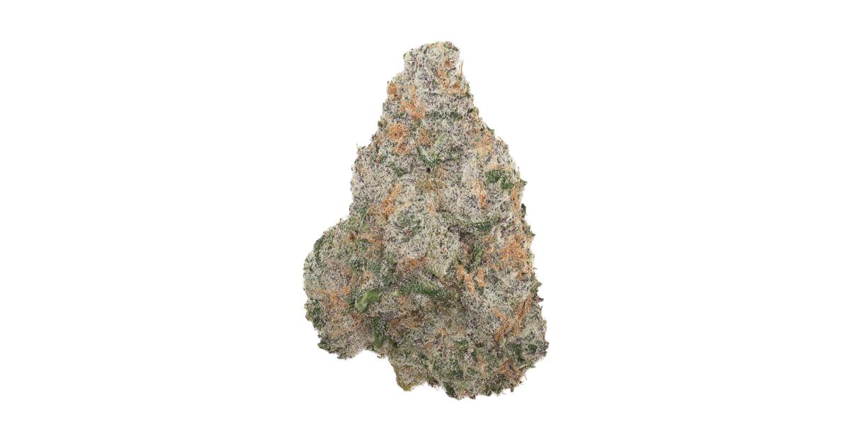 Speedy Chile Cannabis Strain Information - GrowDiaries