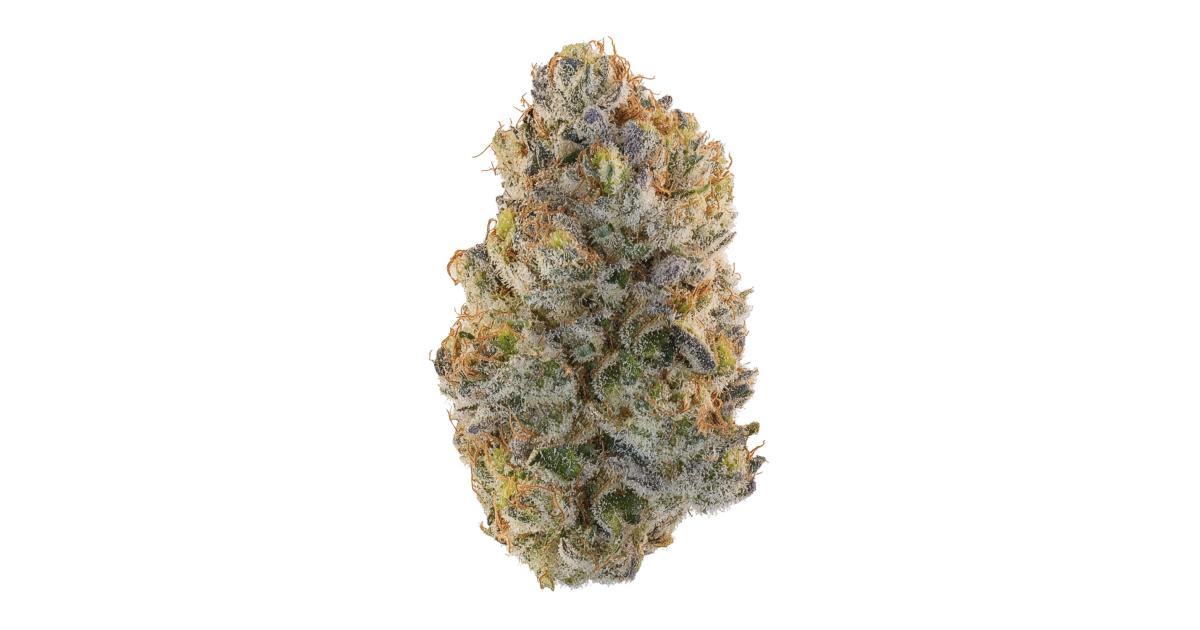 Blueberry Gary Cannabis Strain Information - GrowDiaries