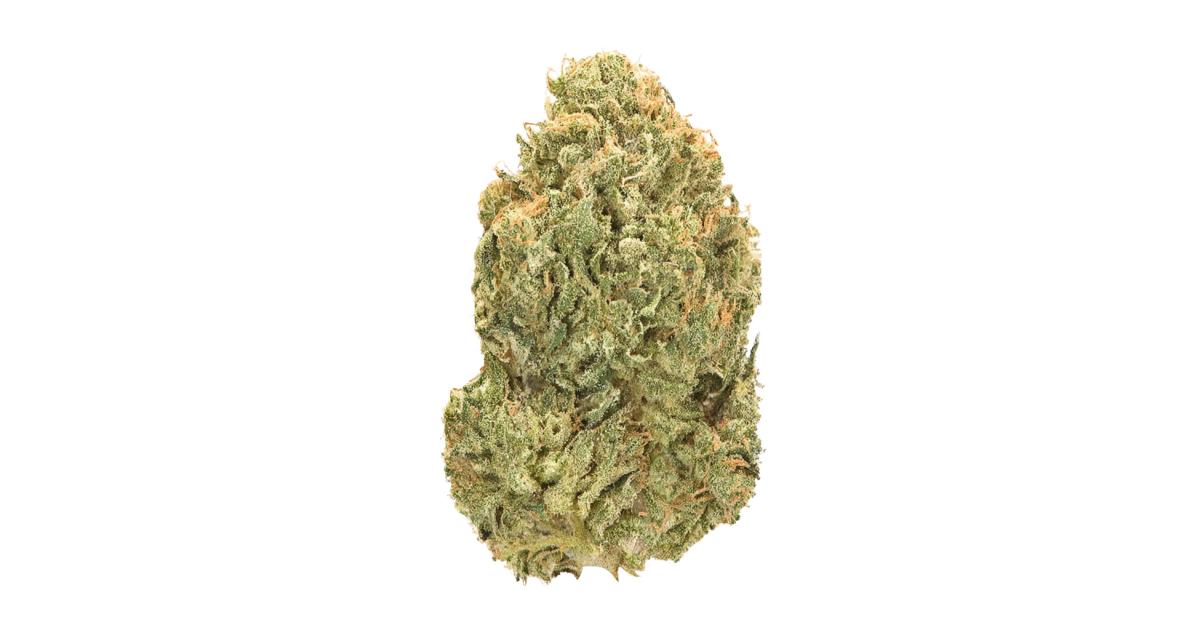 Mountain Sage Cannabis Strain Information - GrowDiaries