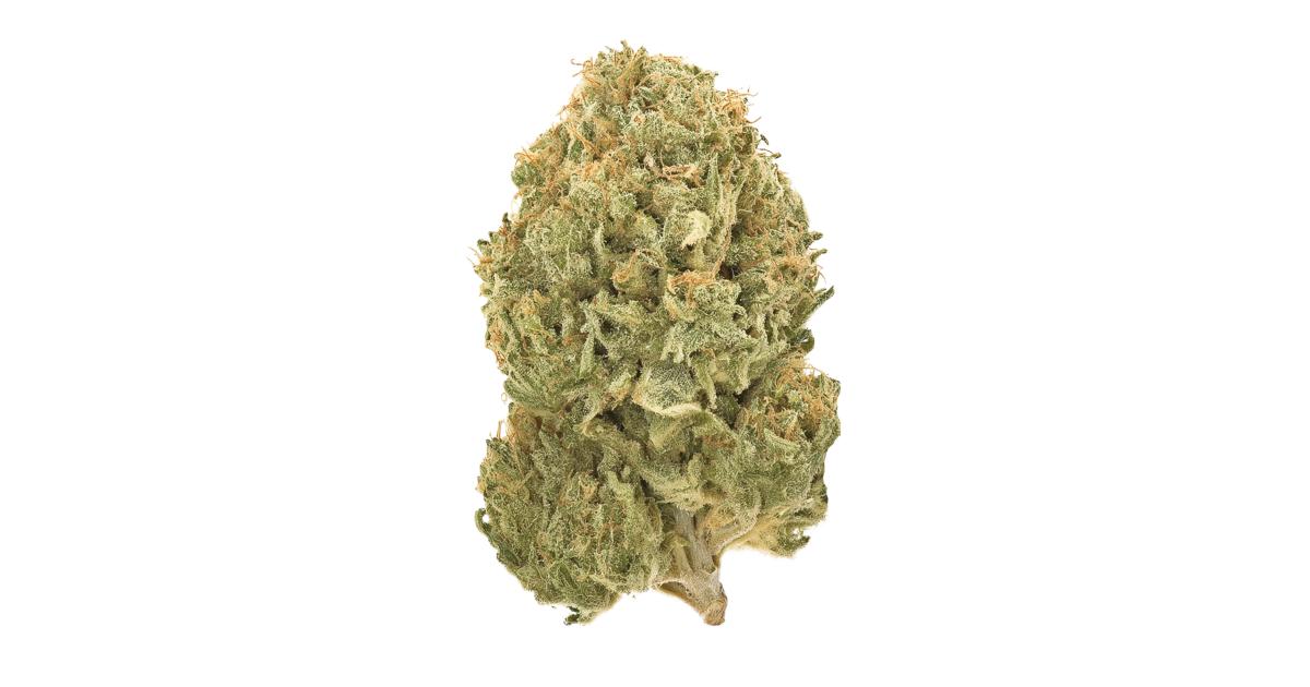 Sublime Lime Cannabis Strain Information - GrowDiaries