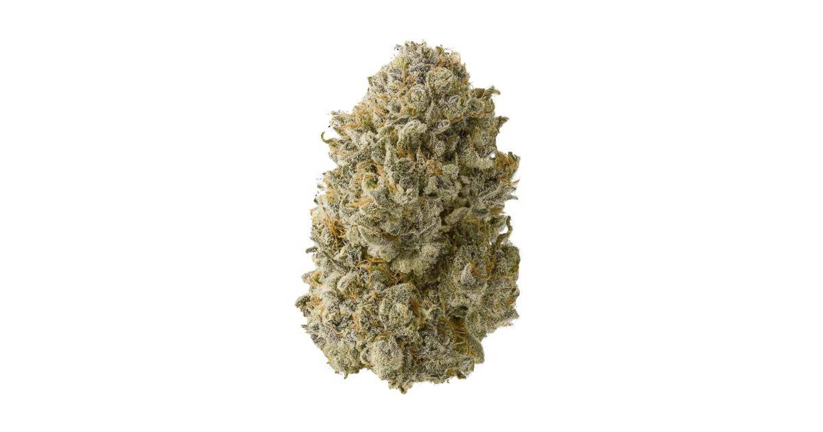 Supreme Cream Cannabis Strain Information - GrowDiaries