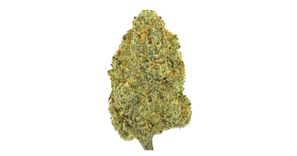 Michoacán Cannabis Strain Information - GrowDiaries