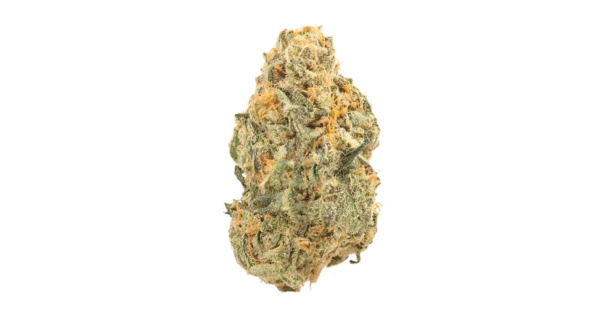 Miyazaki Mango Cannabis Strain Information - GrowDiaries