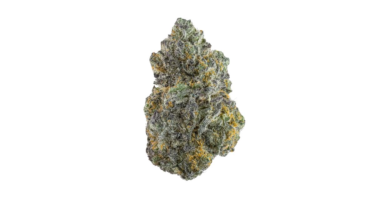 Shark Teriyaki Cannabis Strain Information - GrowDiaries