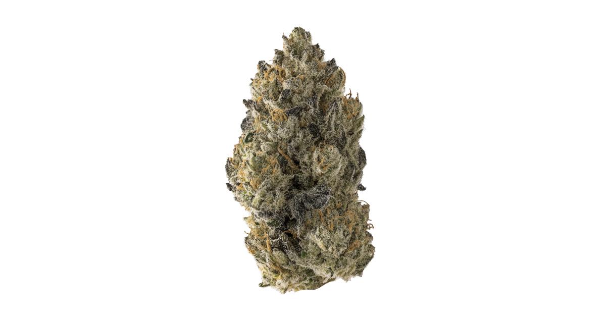 Funky Fuego Cannabis Strain Information - GrowDiaries