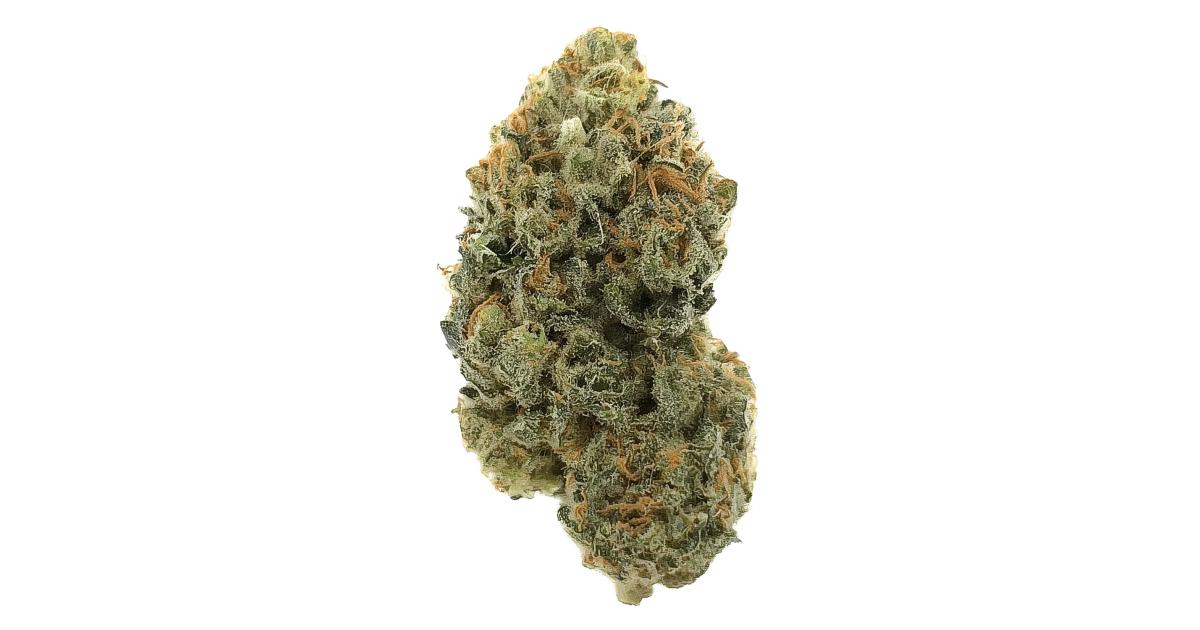 Zero G Cannabis Strain by Archive Seed Bank Information ...
