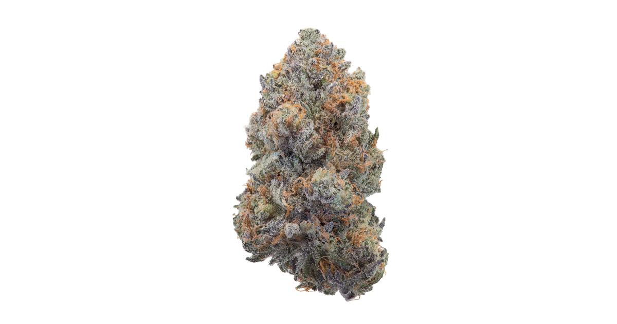 Cherry Banger Cannabis Strain Information - GrowDiaries