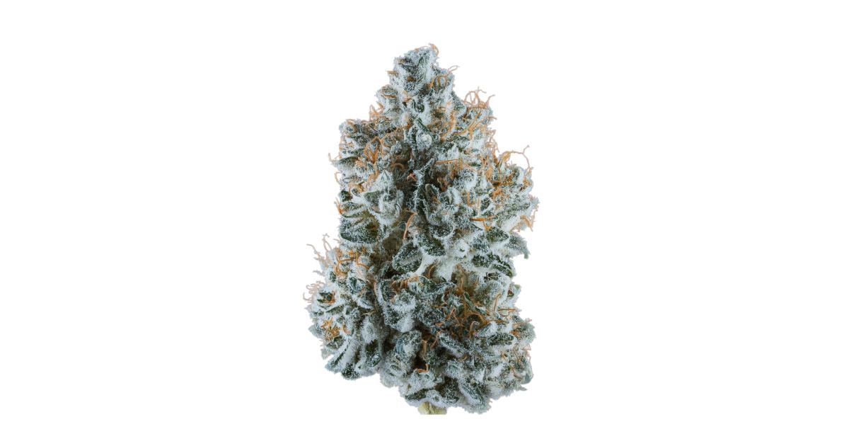 Riviera Drip Cannabis Strain Information - GrowDiaries