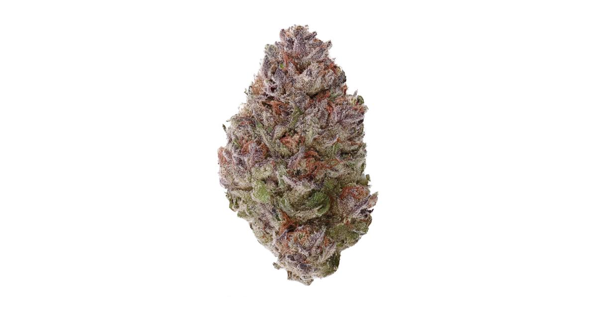 Apple Strudel RF3 Cannabis Strain Information - GrowDiaries