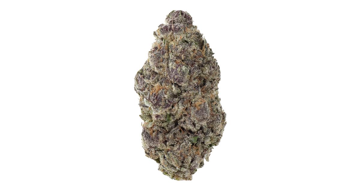 Cherry Larry Cannabis Strain by California Seed Bank Inf...